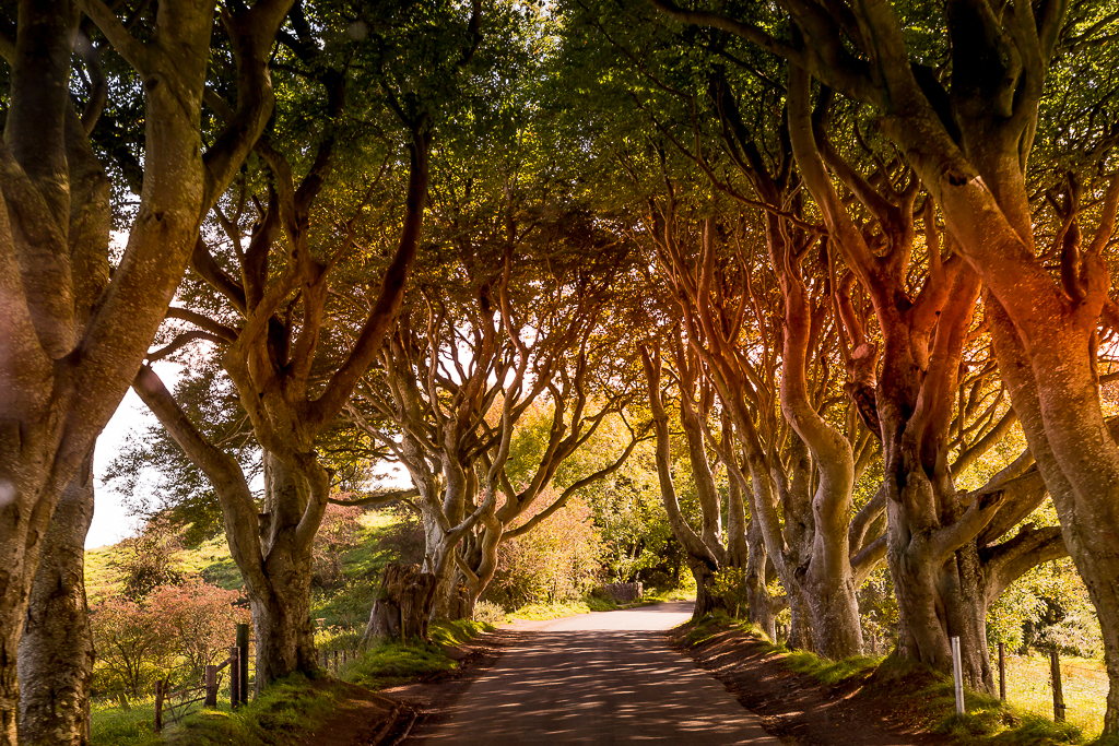 Northern Edges Ireland Tour 2023 - Travel to Thin Places: mind, body ...